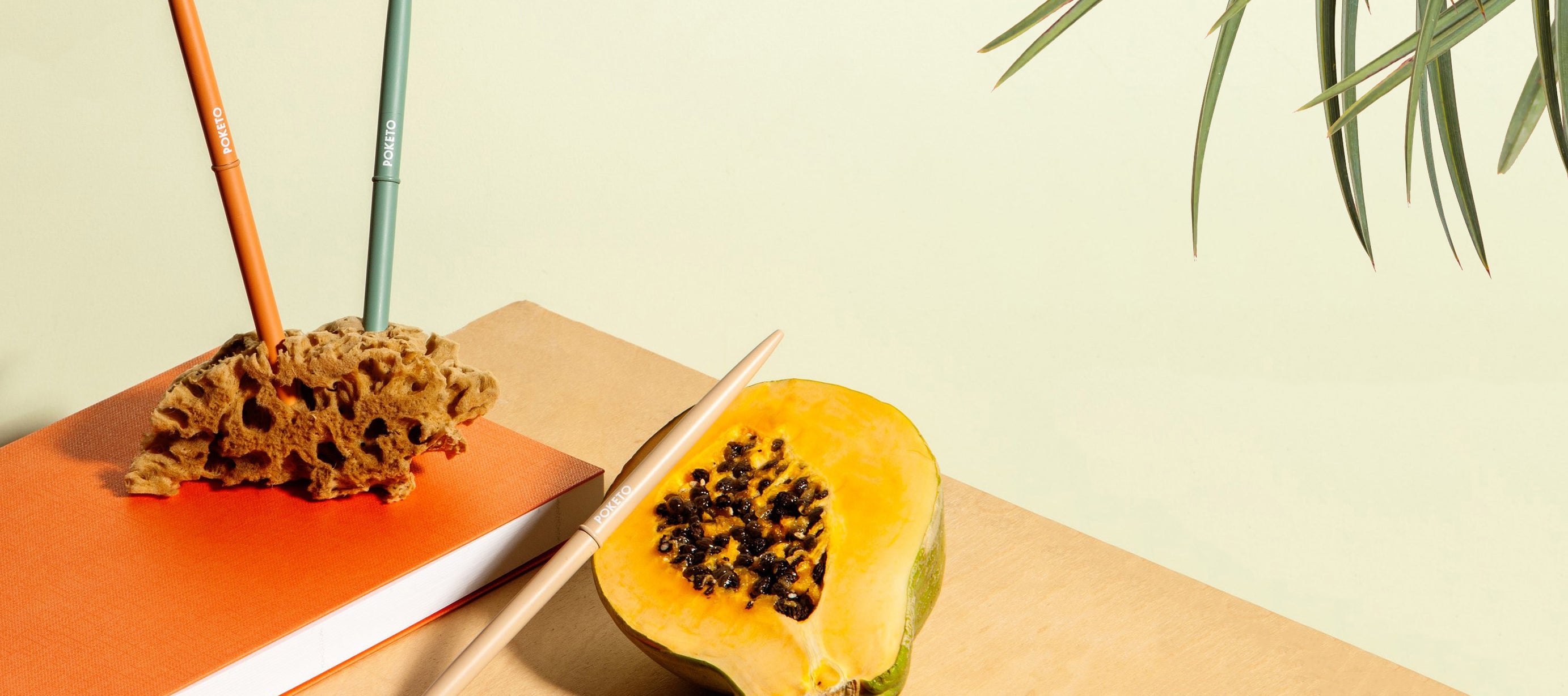 Pacific Bright Shopify Theme